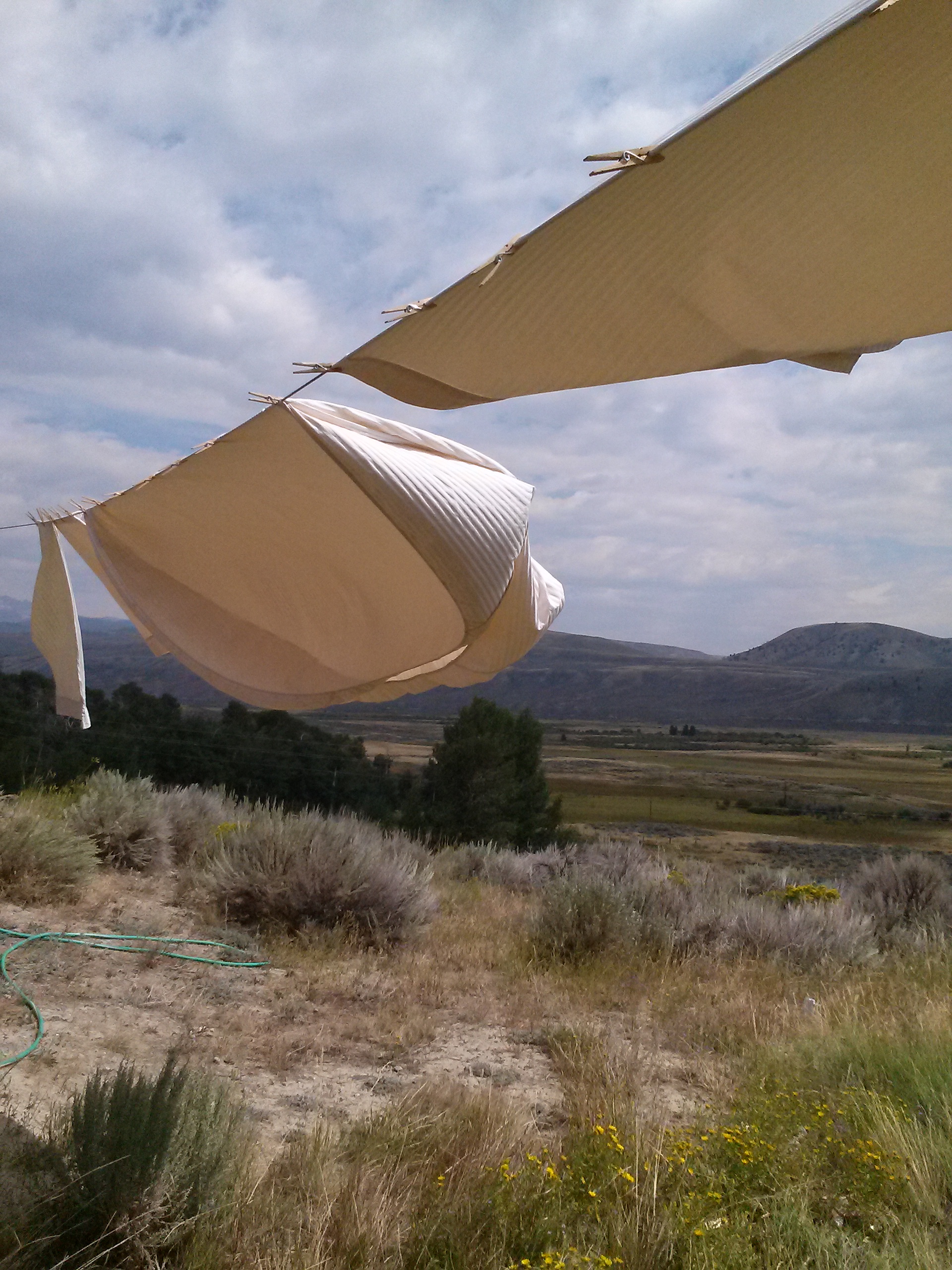 Joys of Dubois: Flying Sheets – Living Dubois